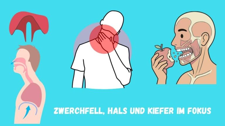 Stiller Reflux und Muskeln - Zwerchfell - Hals und Kiefer im Fokus